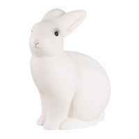 Assorted Wind up Dinosaurs - Niddle Noddle